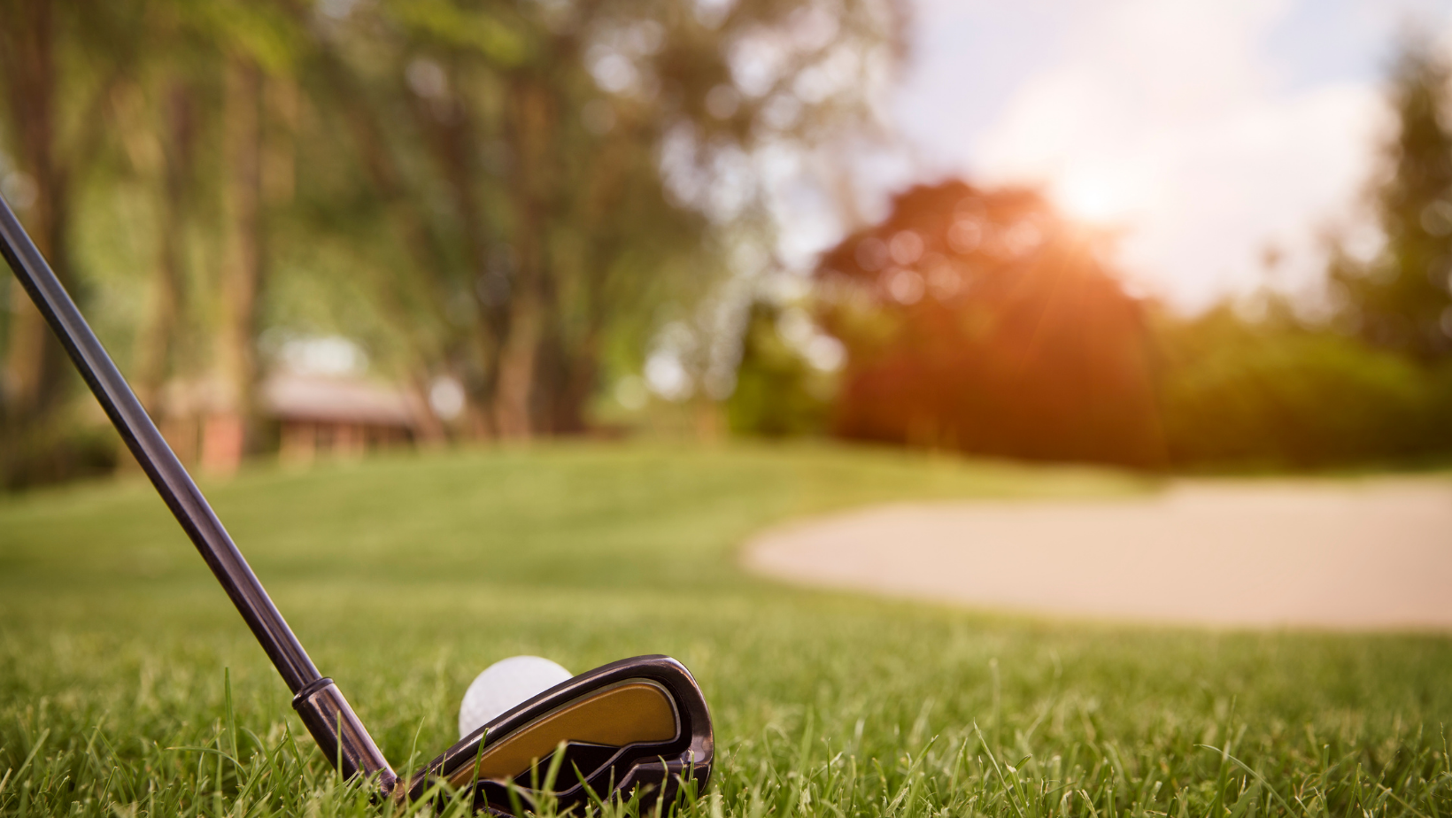 Spice Daddy: Where Men Level Up – Health, Wealth & Brotherhood ...